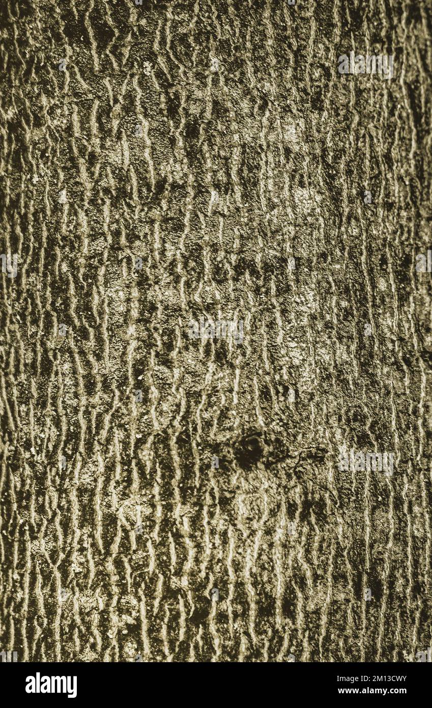 natural organic textured grunge background Stock Photo - Alamy