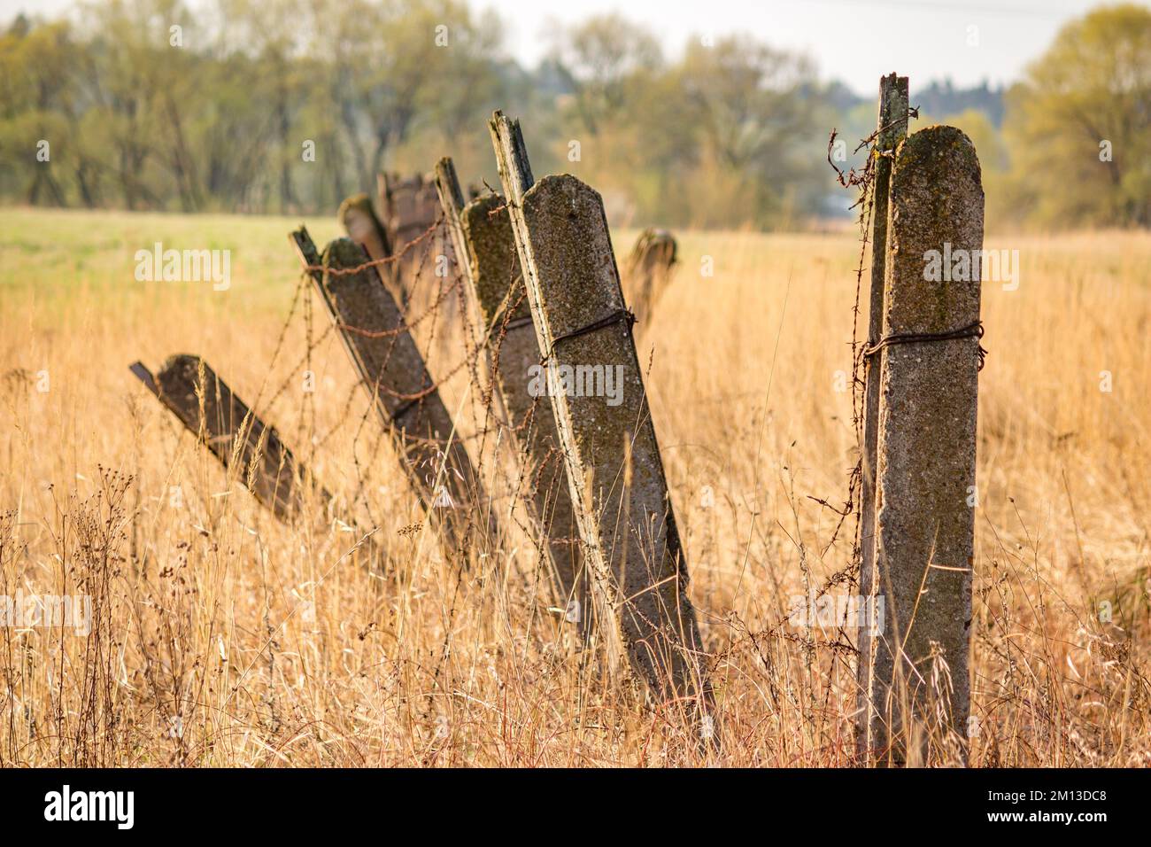 Collapsed old fence and concrete pillars and barbed wire. A lopsided ...