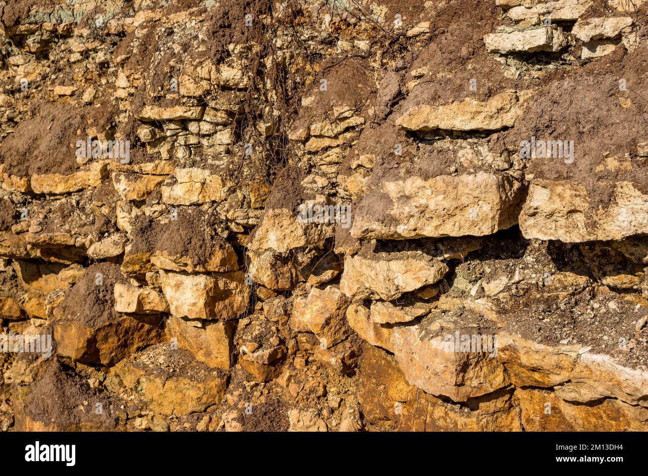 Outcrop of limestone strata to the day surface. Sedimentary rocks of ...