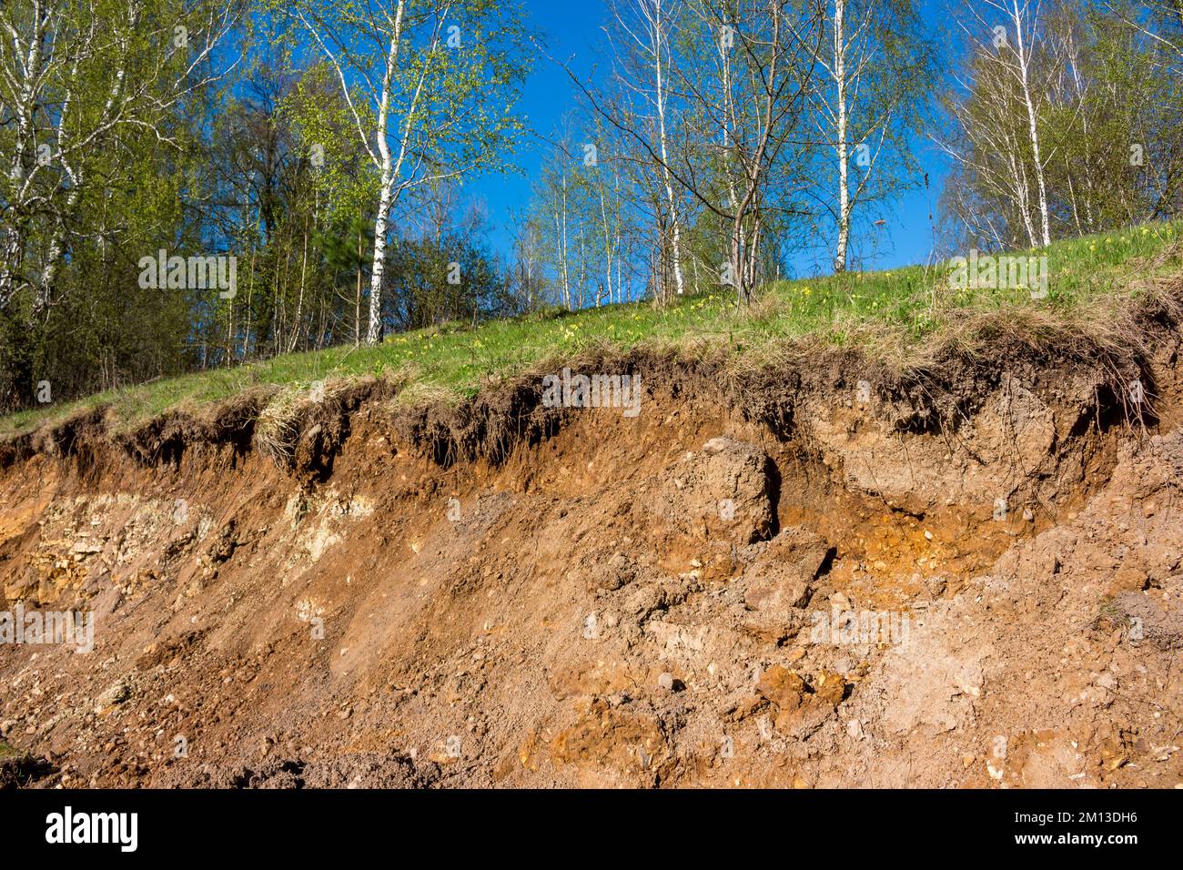Cutting the soil cover with heavy machinery. Geological outcropping in ...