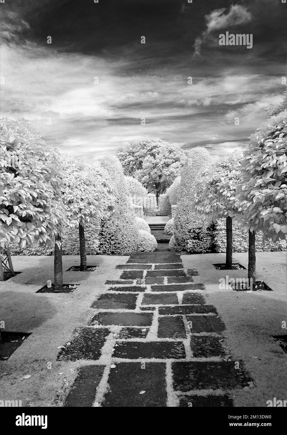 Infrared photograph of a classic English garden, pathway through lawn ...