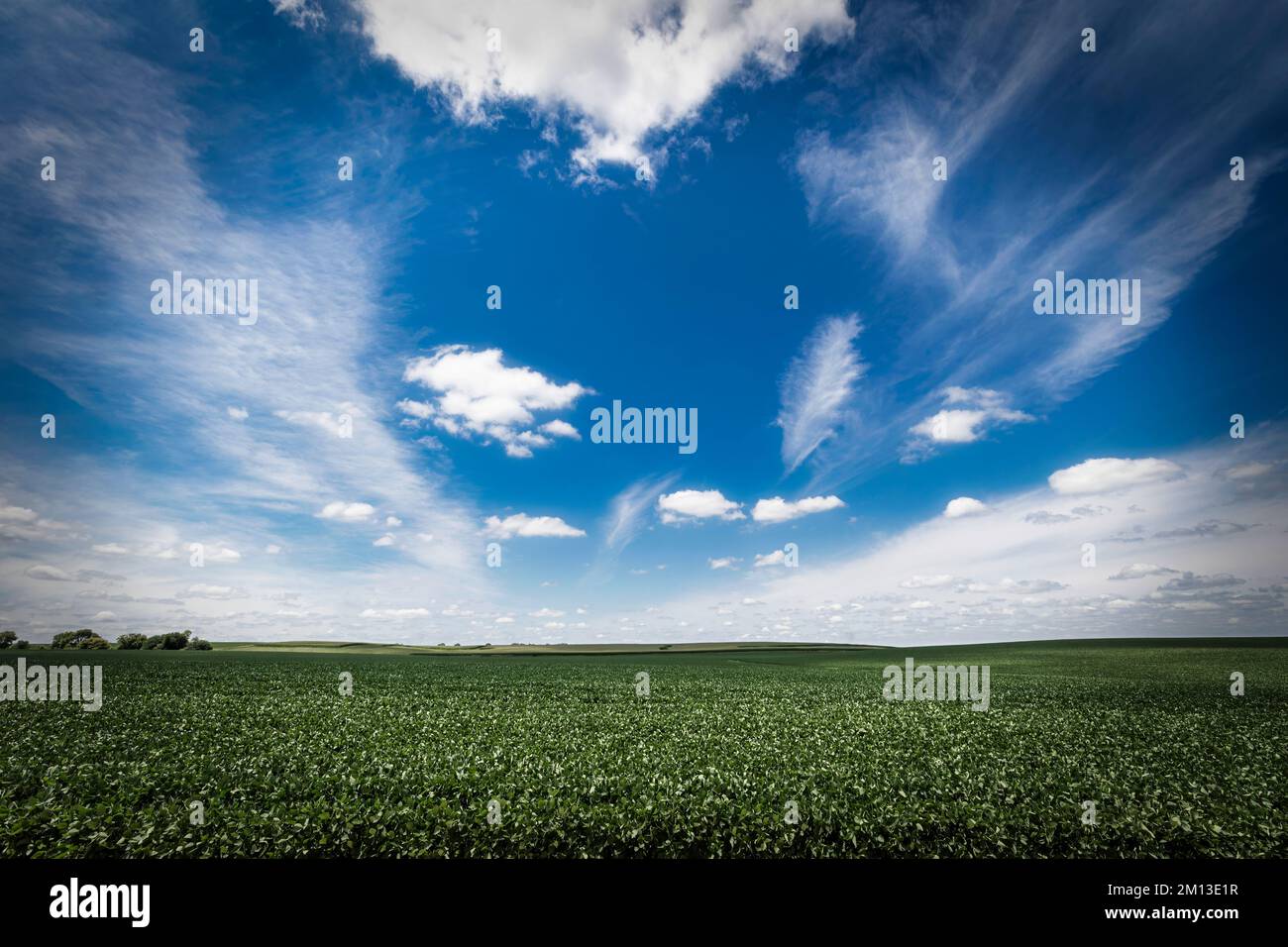 The view of the big sky and cornfields from Dyersville East Road near ...