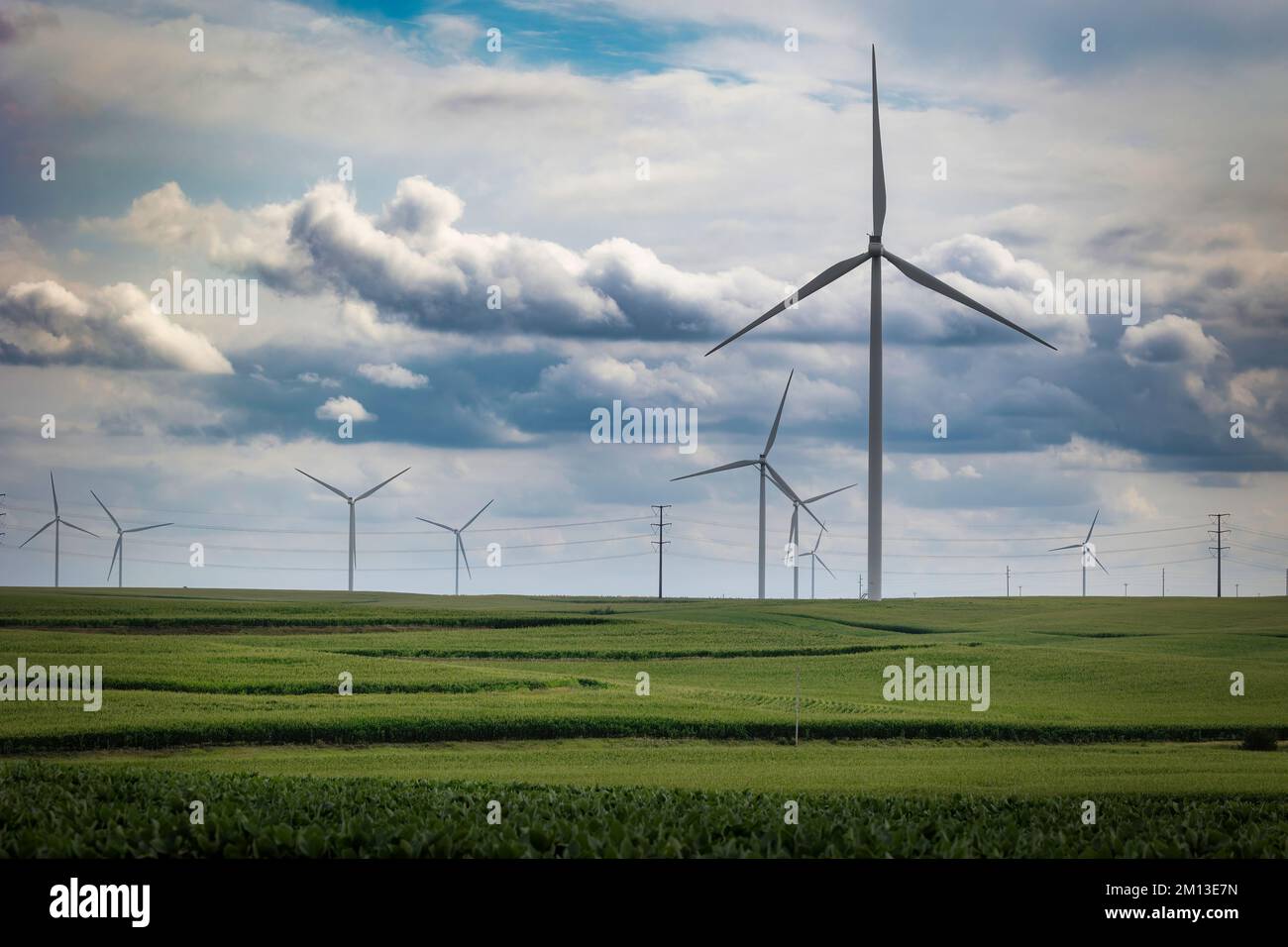 WInd turbines stand in cornfields and storm clouds on the horizon near ...