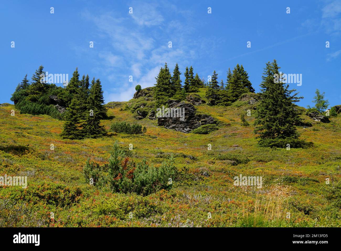 a hiking trail overlooking the picturesque alpine landscape by the foot ...
