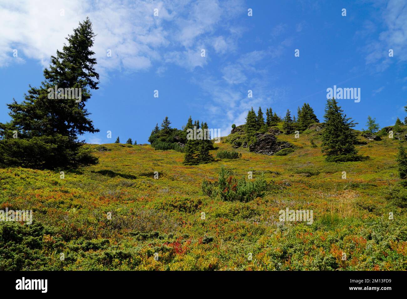 a hiking trail overlooking the picturesque alpine landscape by the foot ...
