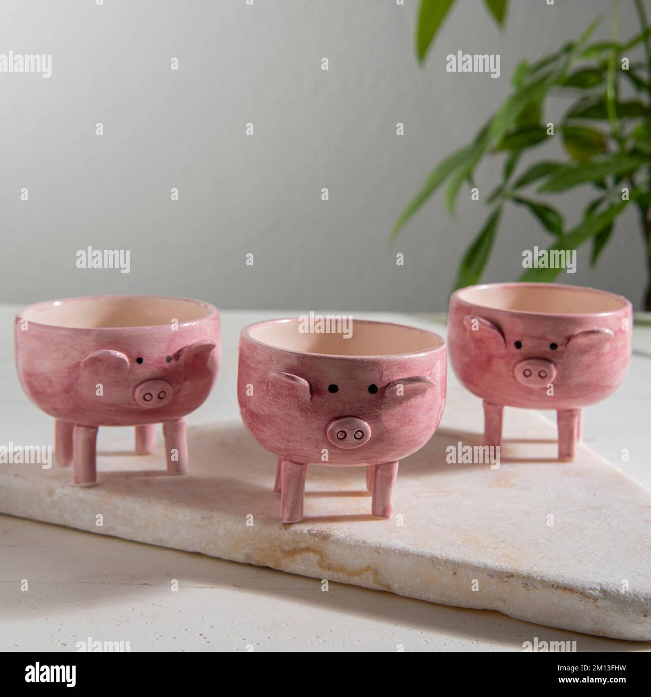 ceramic pig shaped pink cactus pots Stock Photo - Alamy