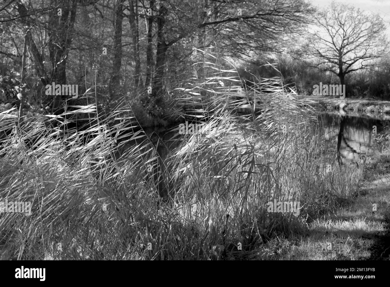 Black and white photograph of British Waterways canalside, showing a ...