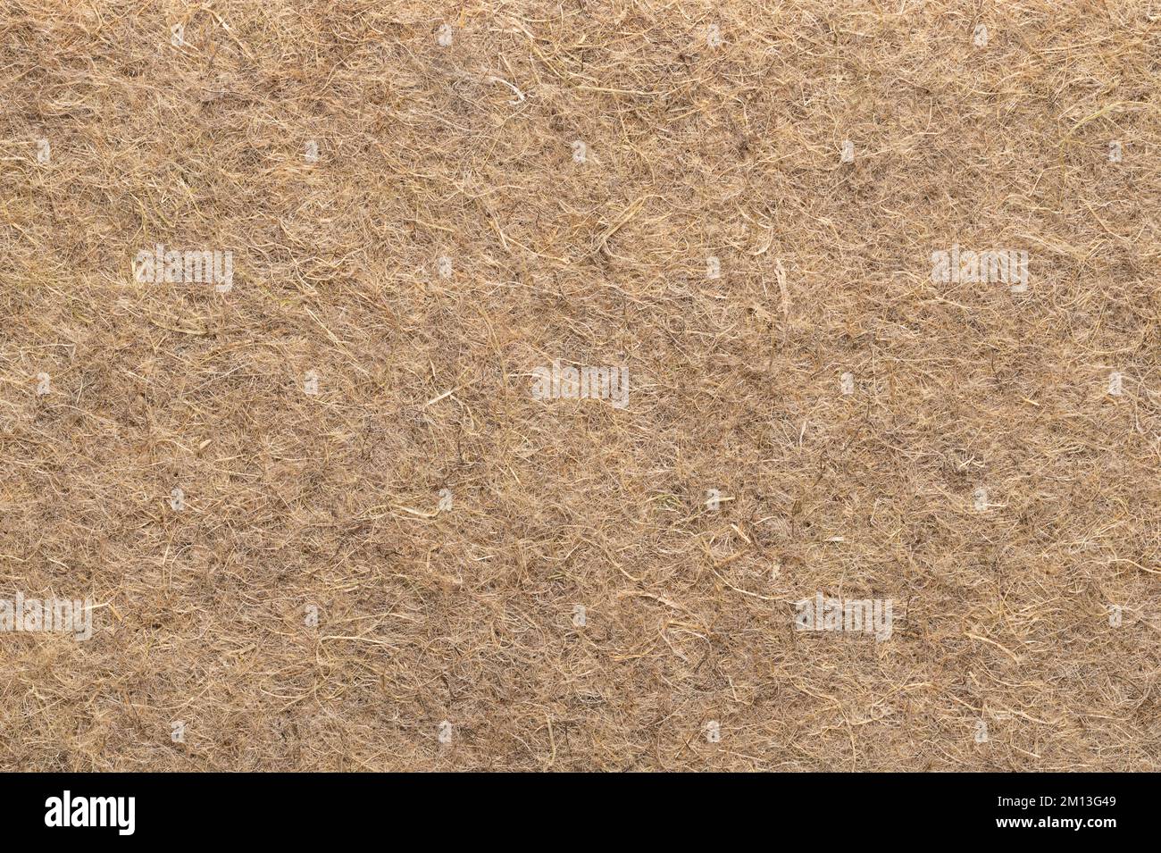 Hemp mat, surface and background, from above. Growth medium for growing ...