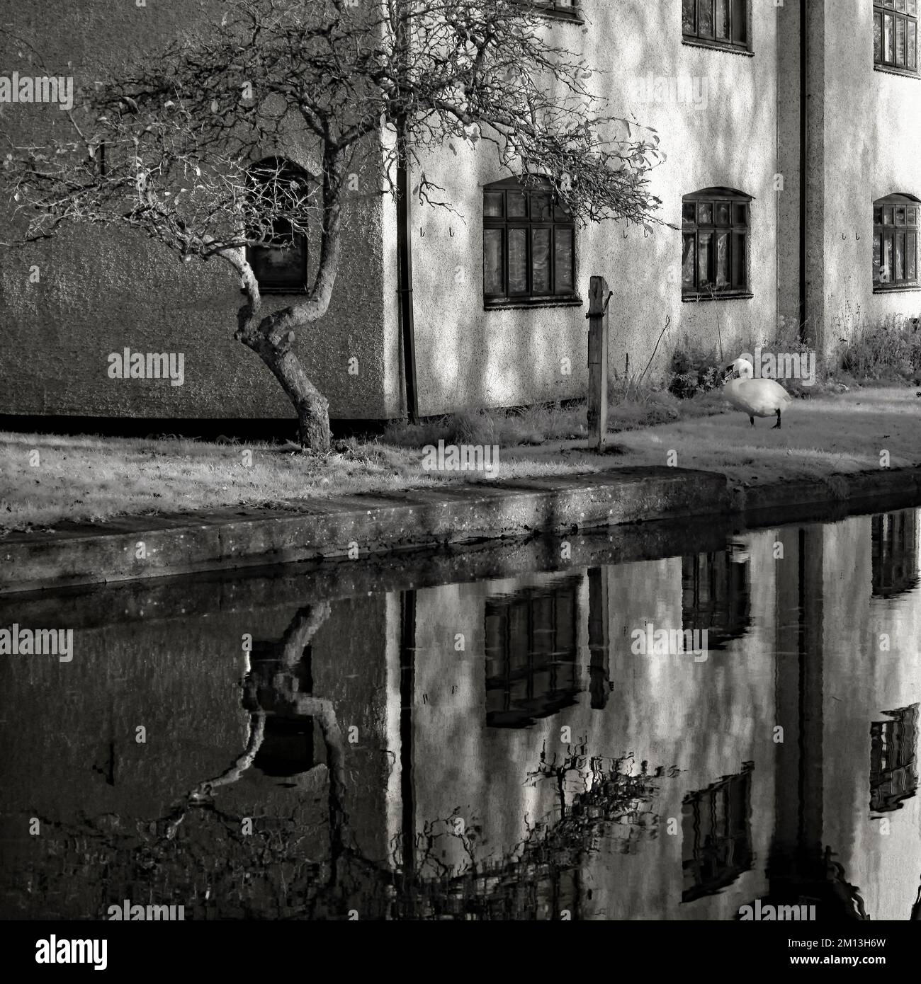 Sepia Tone Bw Photography