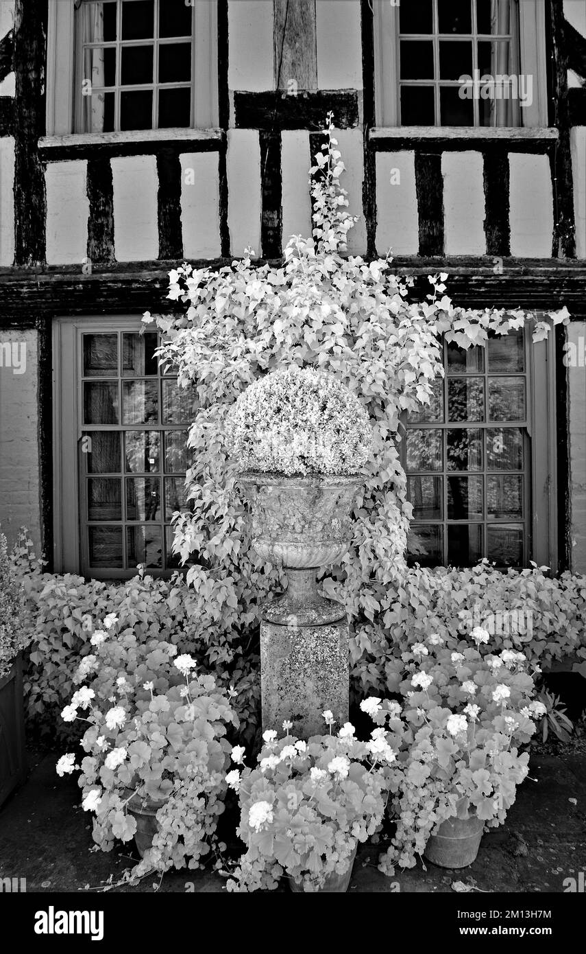 Wollerton old hall gardens Black and White Stock Photos & Images - Alamy