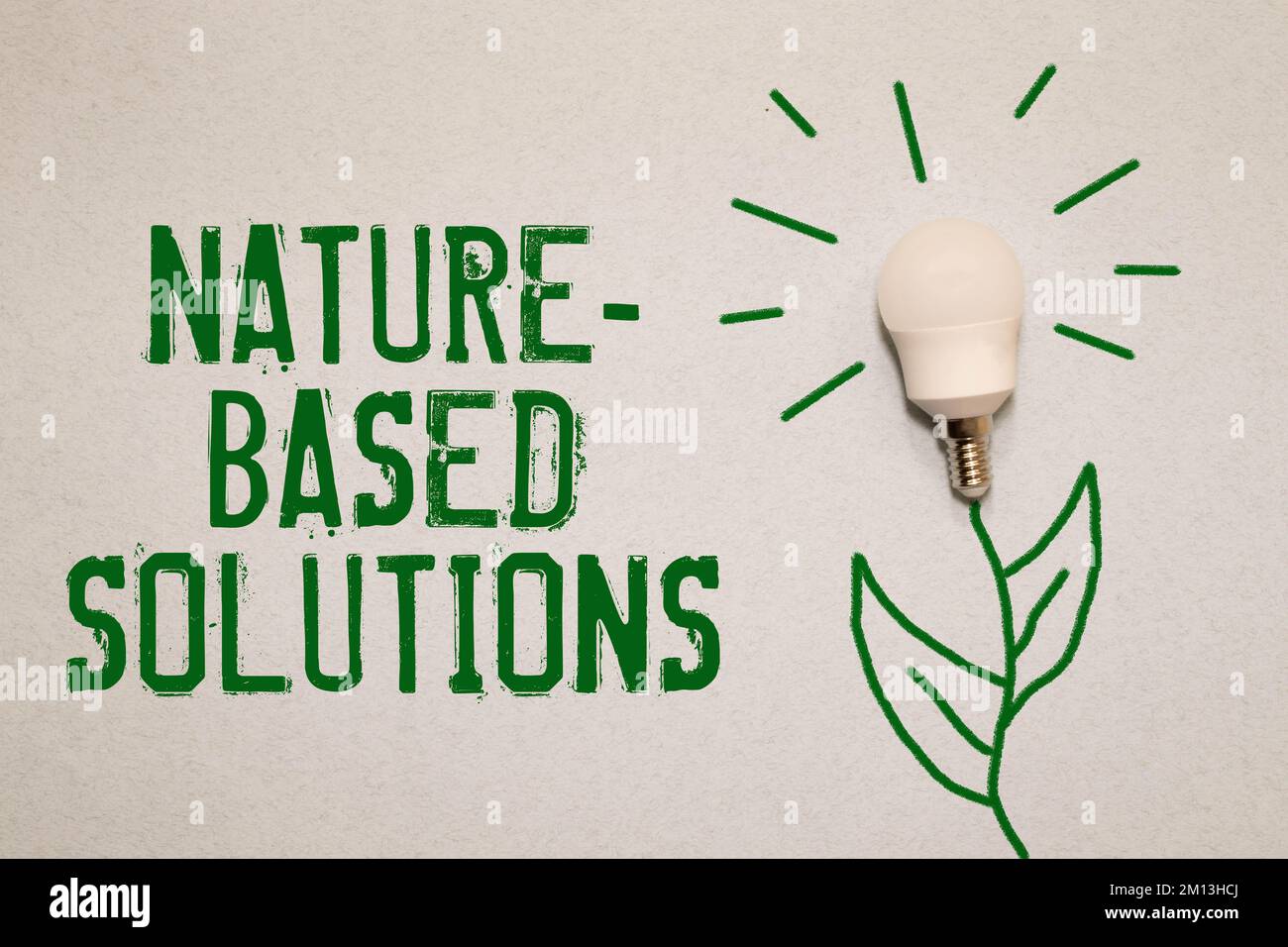 Natural leaves and inscriptions on wooden blocks Environment, People ...