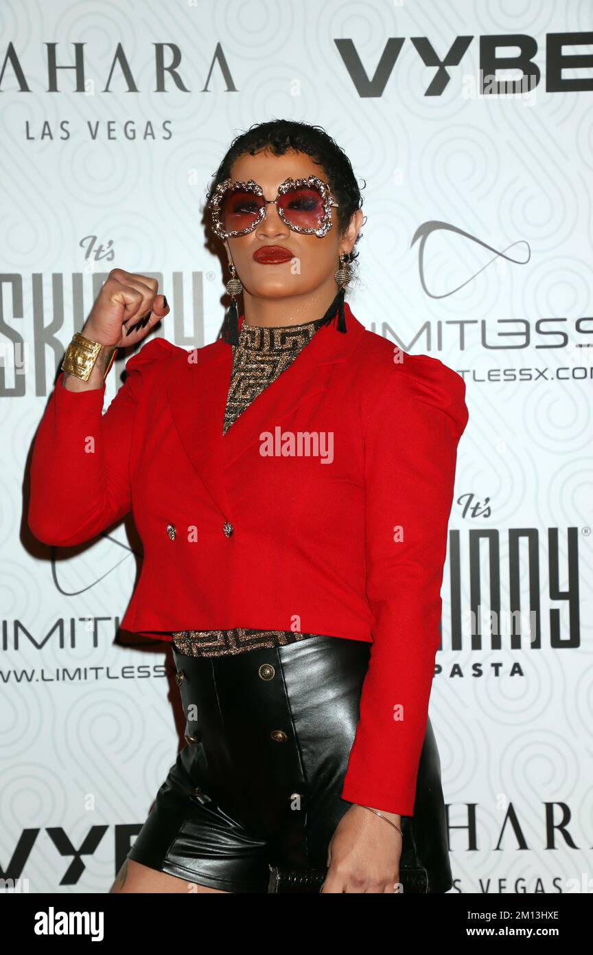 Las Vegas, USA. 08th Dec, 2022. Gita Marie Figueroa at 14th Annual ...