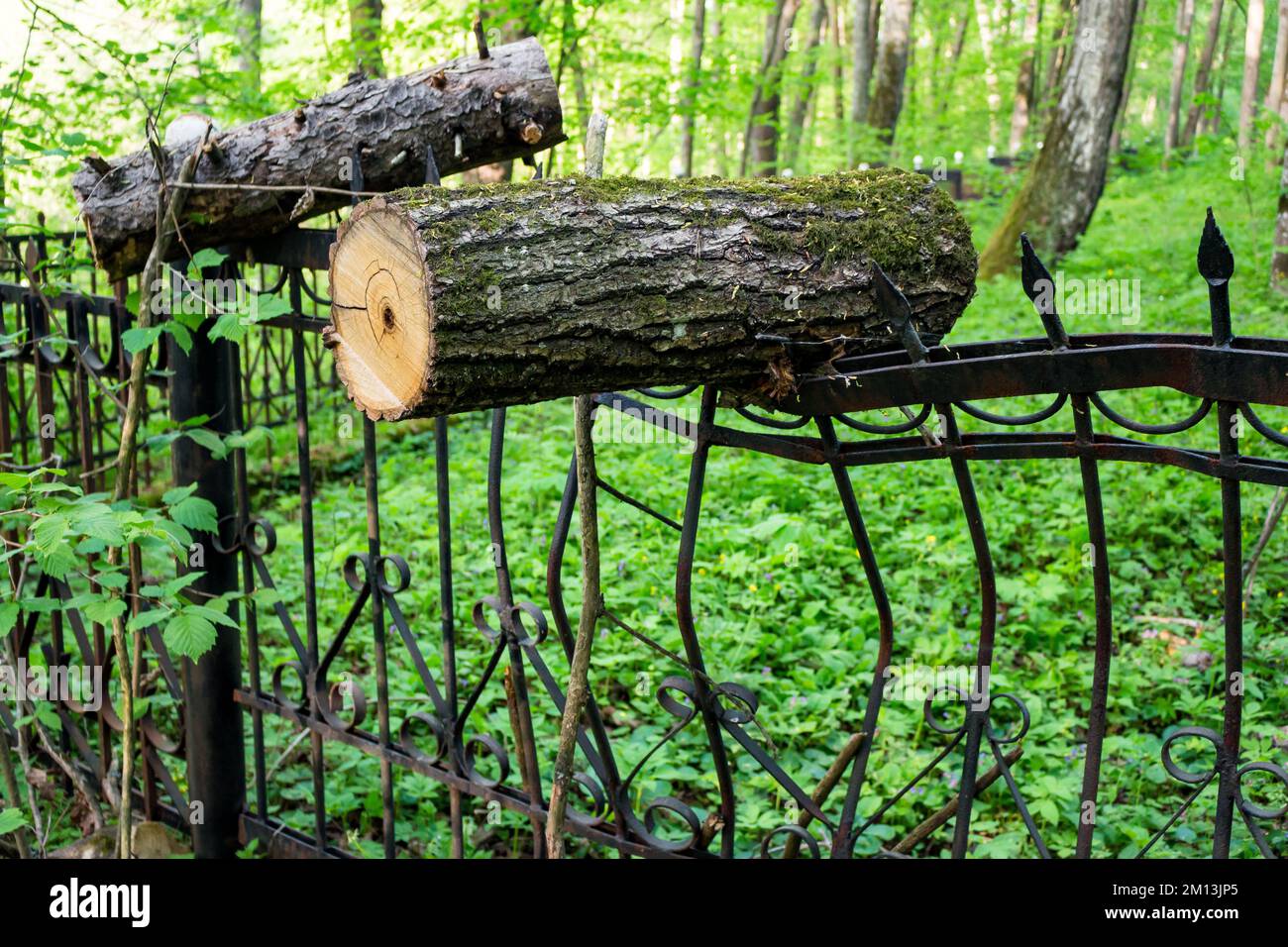 A bent metal fence on which a tree fell, a strong blow bent the fence ...