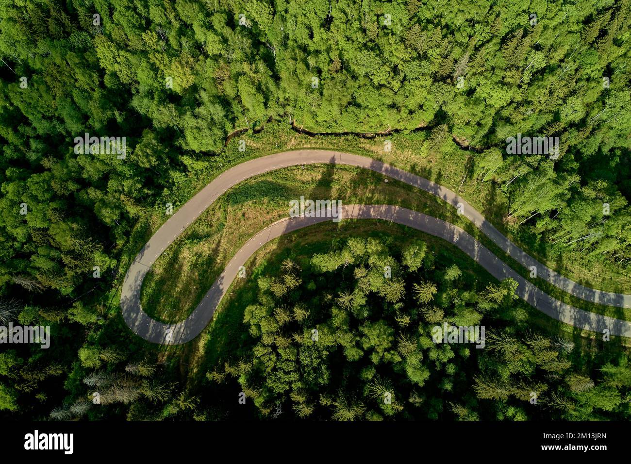 Sharp turn on forest track, roller ski track in wilderness, aerial view ...