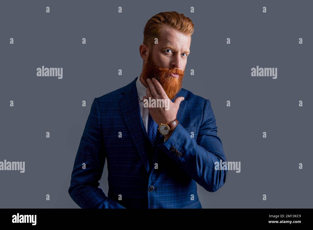 studio shot of business ceo. suit and tie of business ceo. business ceo ...