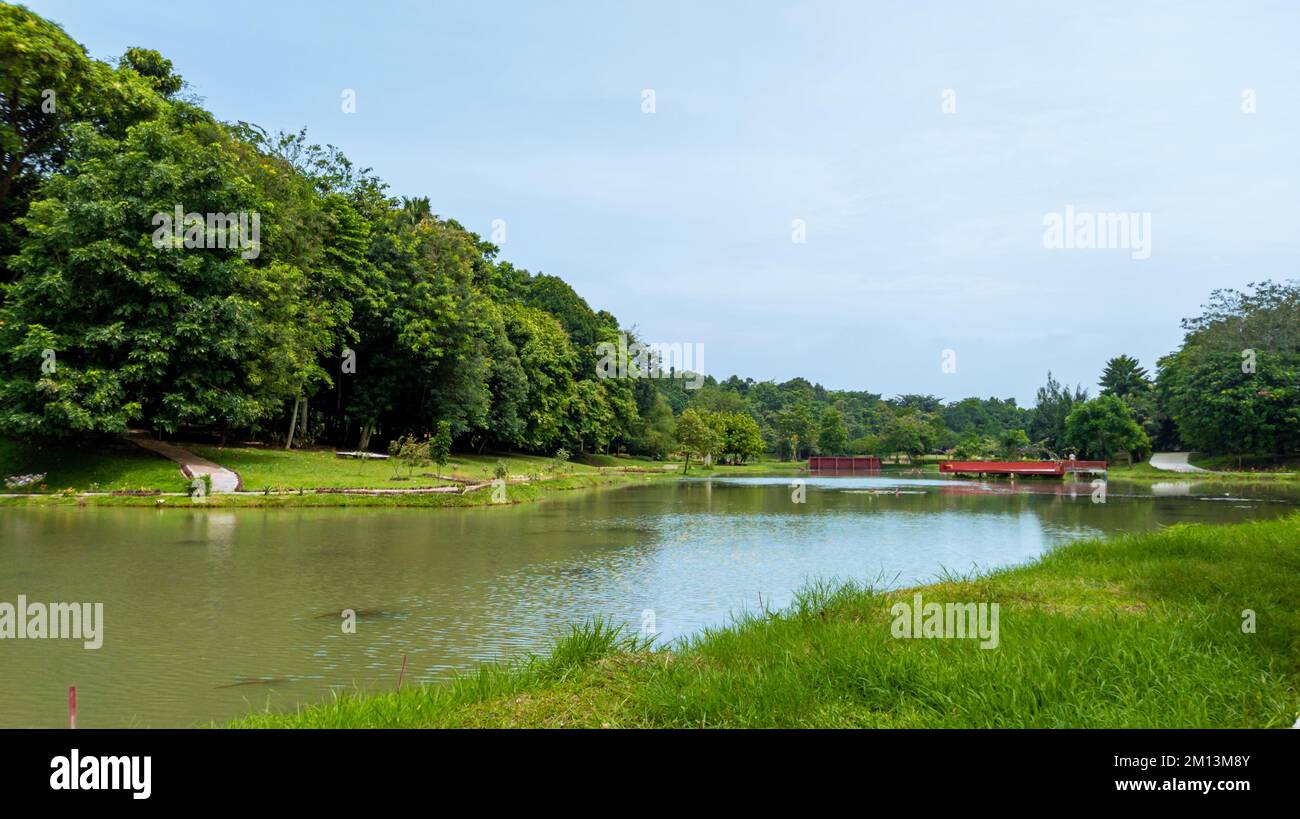 beautiful natural lanscape scenery, lake with wooden bridge, nature ...