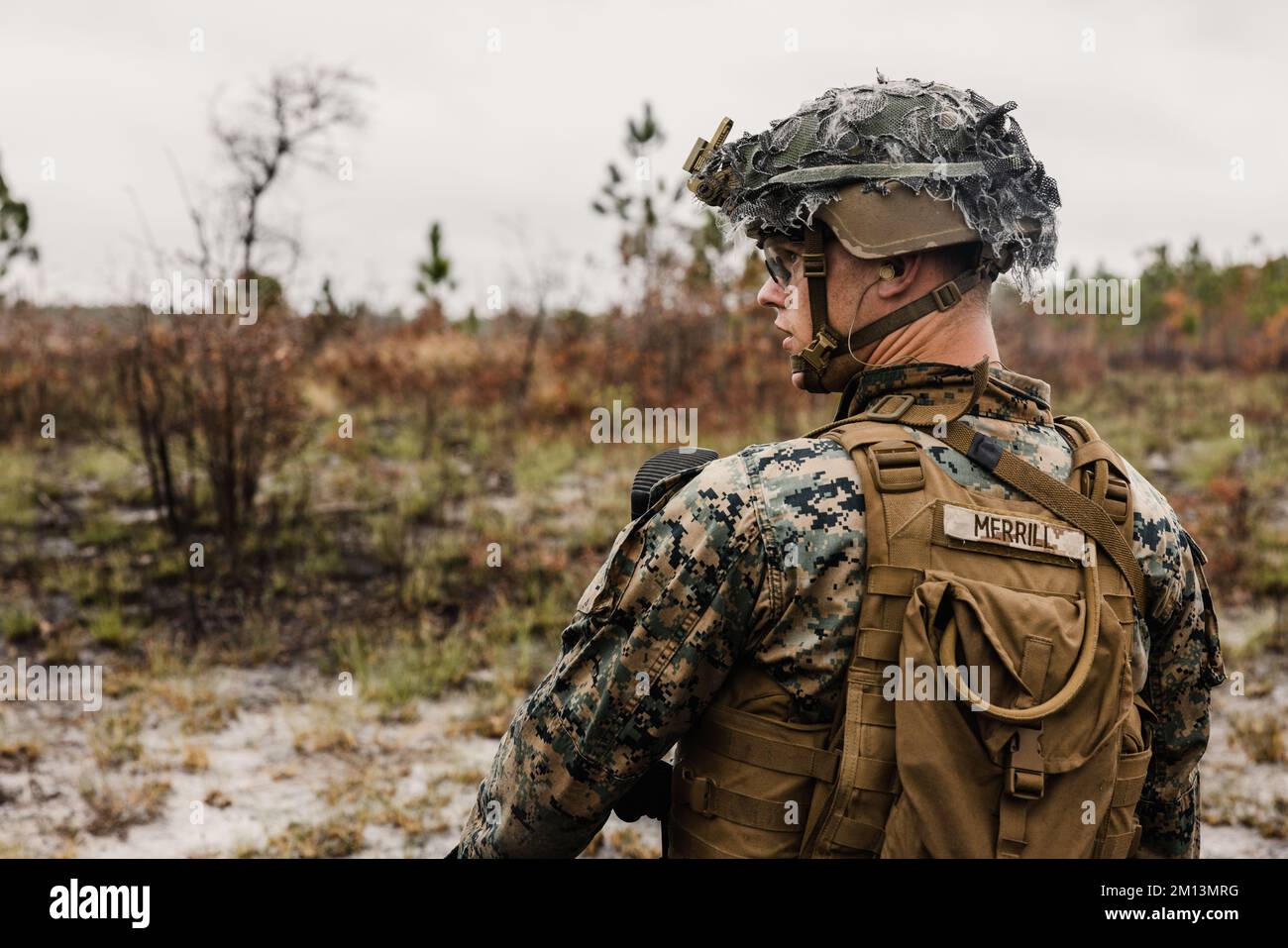 U.S. Marine Corps Lance Cpl. Donavan Merrill, a rifleman with 2d ...