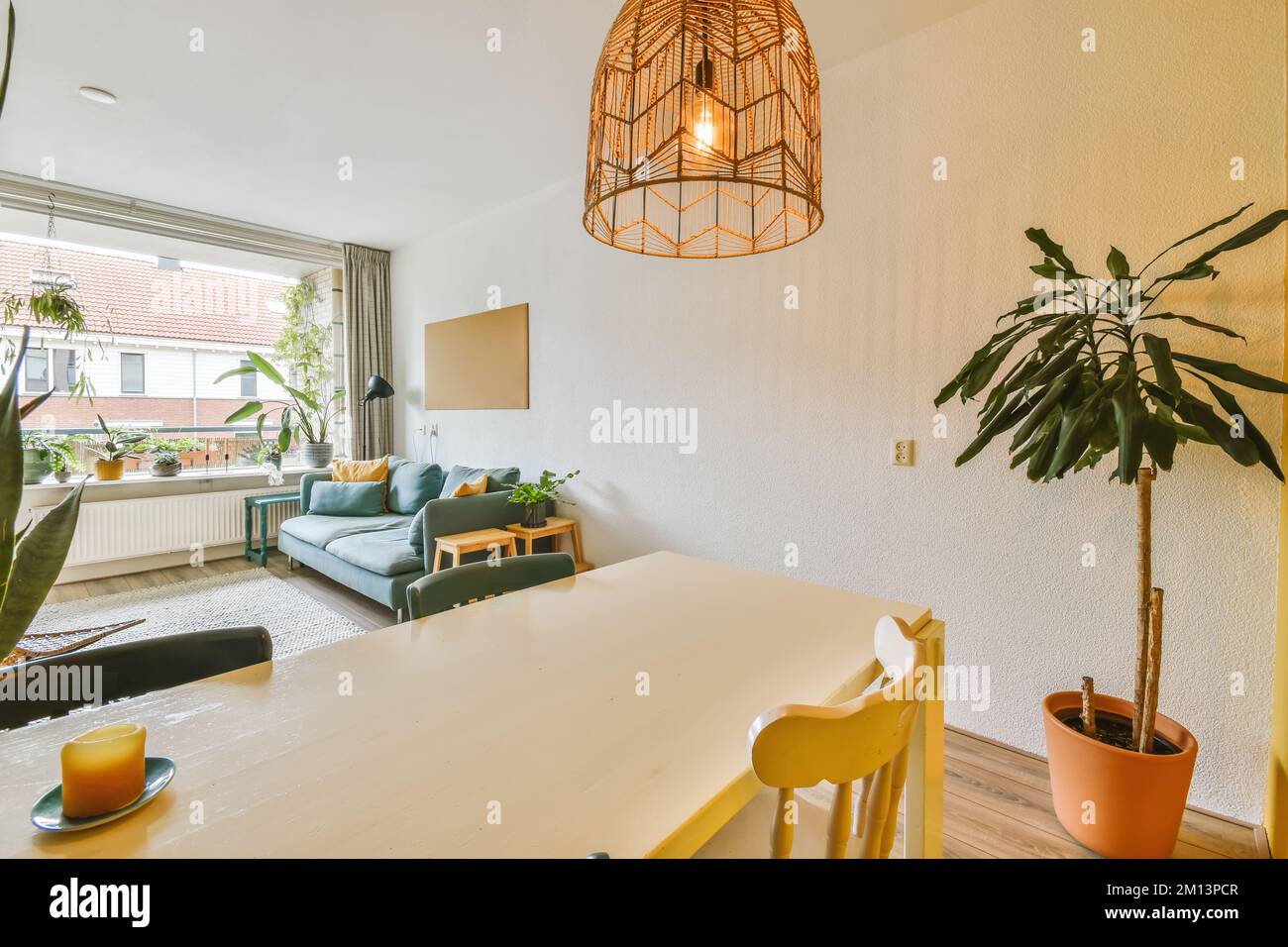 a living room with a table, chairs and a plant in the middle of the ...