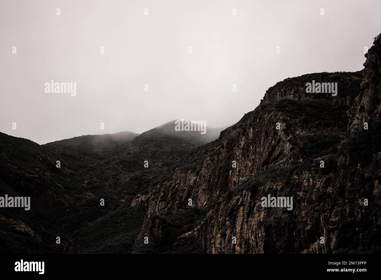 Mountain range of Laurissilva Forest covered in fog and a pale sky in ...