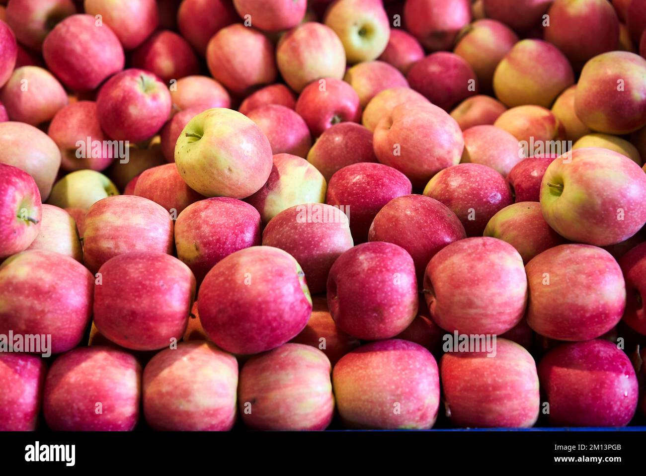 Red organic apples in large quantities Stock Photo - Alamy