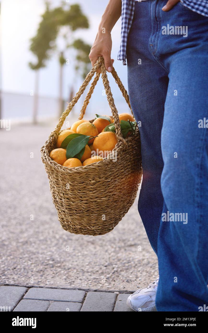 Woman holding basket full of fruits mandarin. Season of mandarin Stock ...