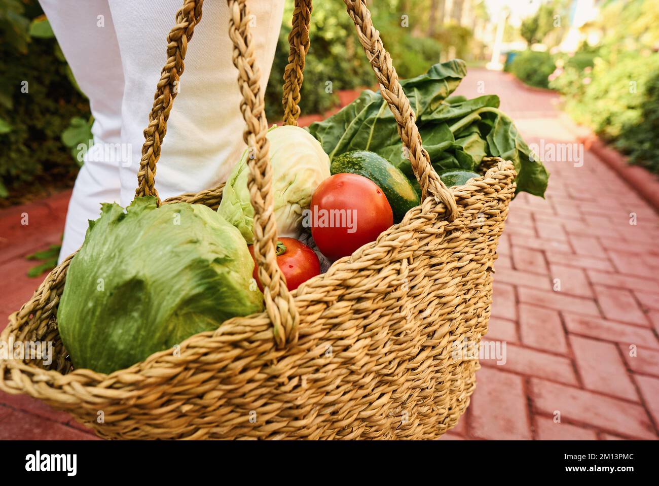 Hands carrying shopping basket with vegetables in street Stock Photo ...