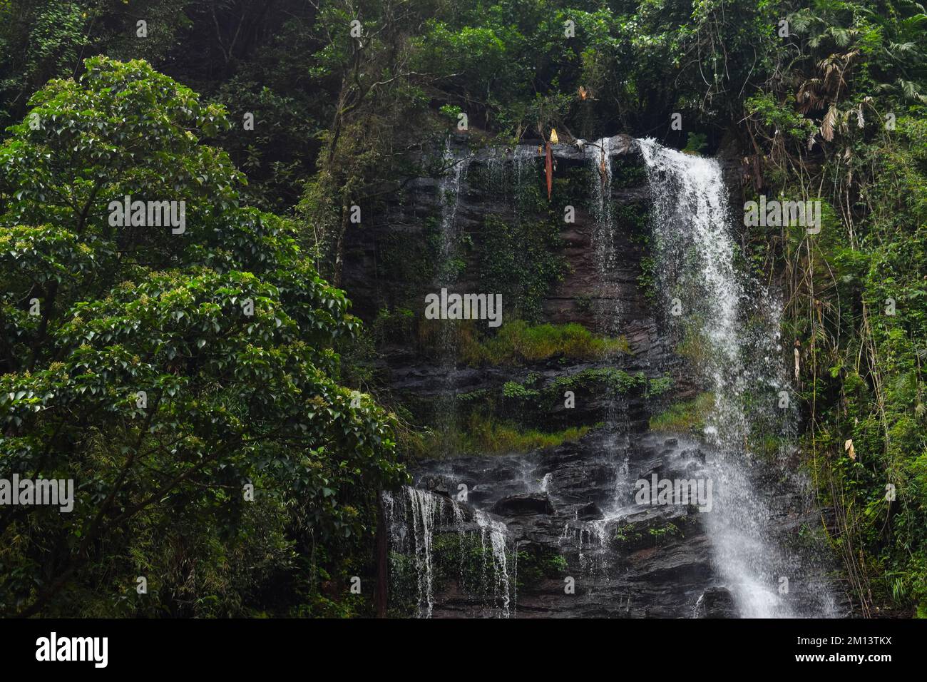 A scenic view of the Jhari Falls with green vegetation around in ...