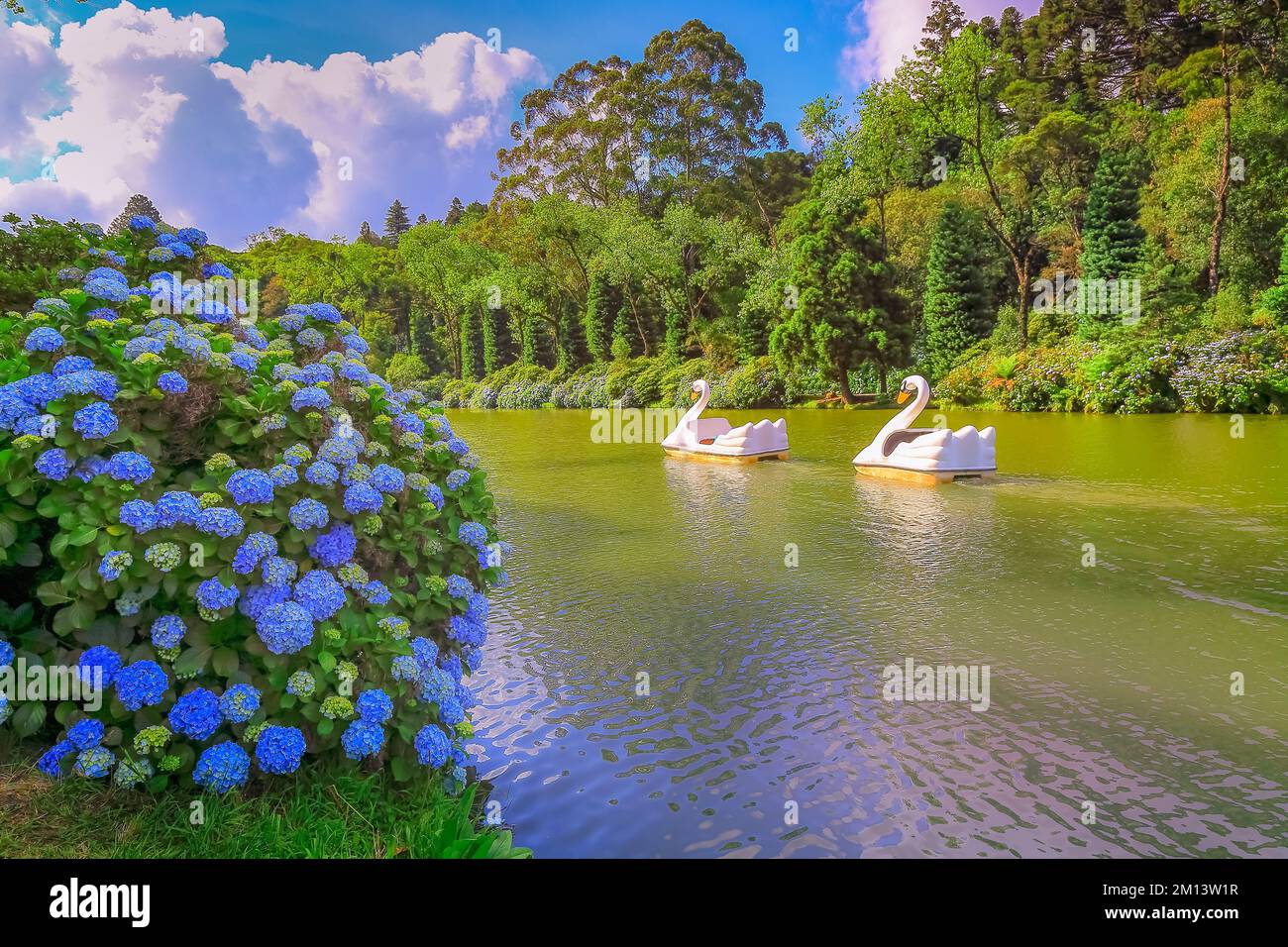 Lago Negro, idyllic landscape with Hydrangeas, Gramado at springtime ...