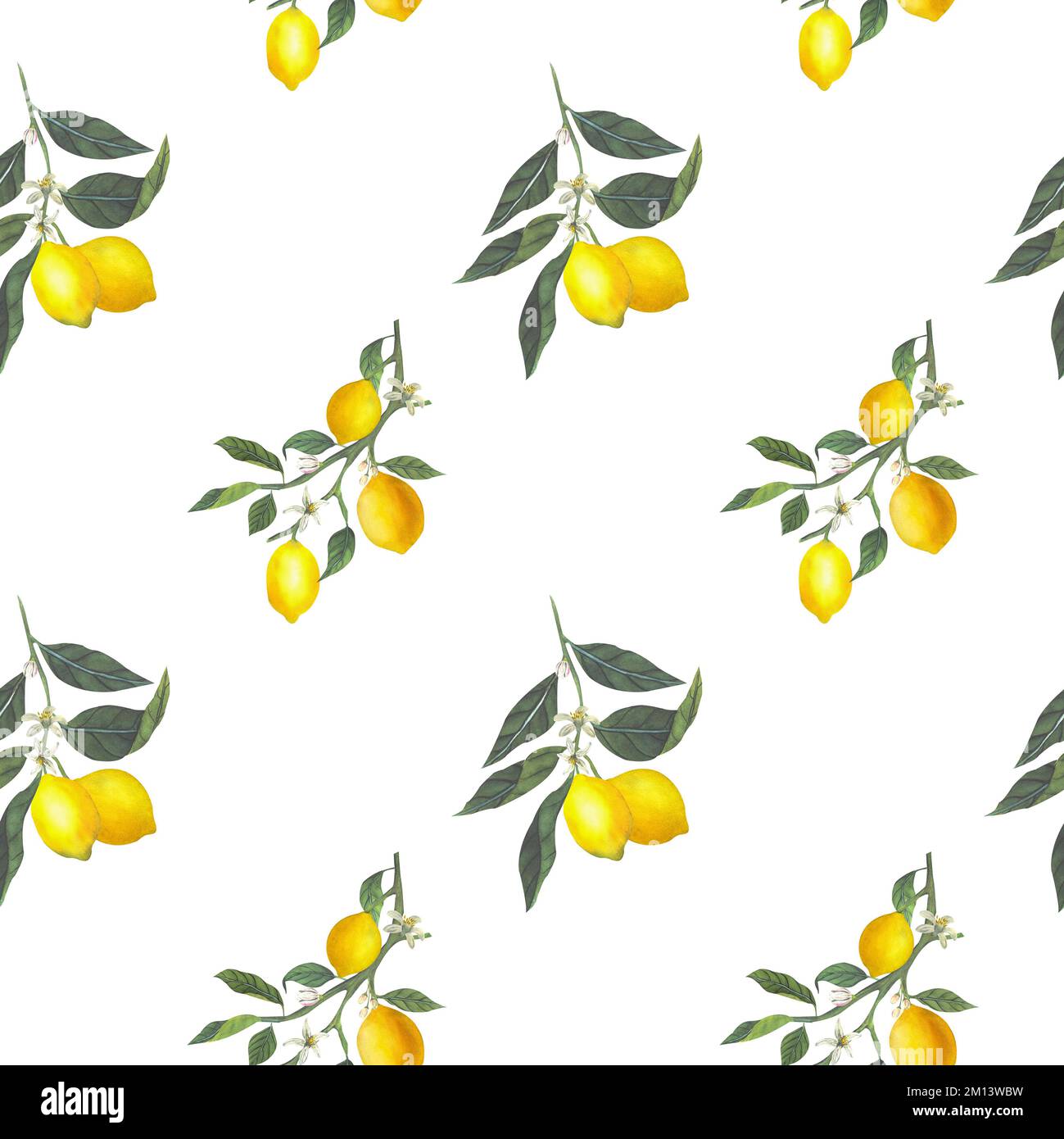 Watercolor seamless pattern with illustration of branch with fresh ...