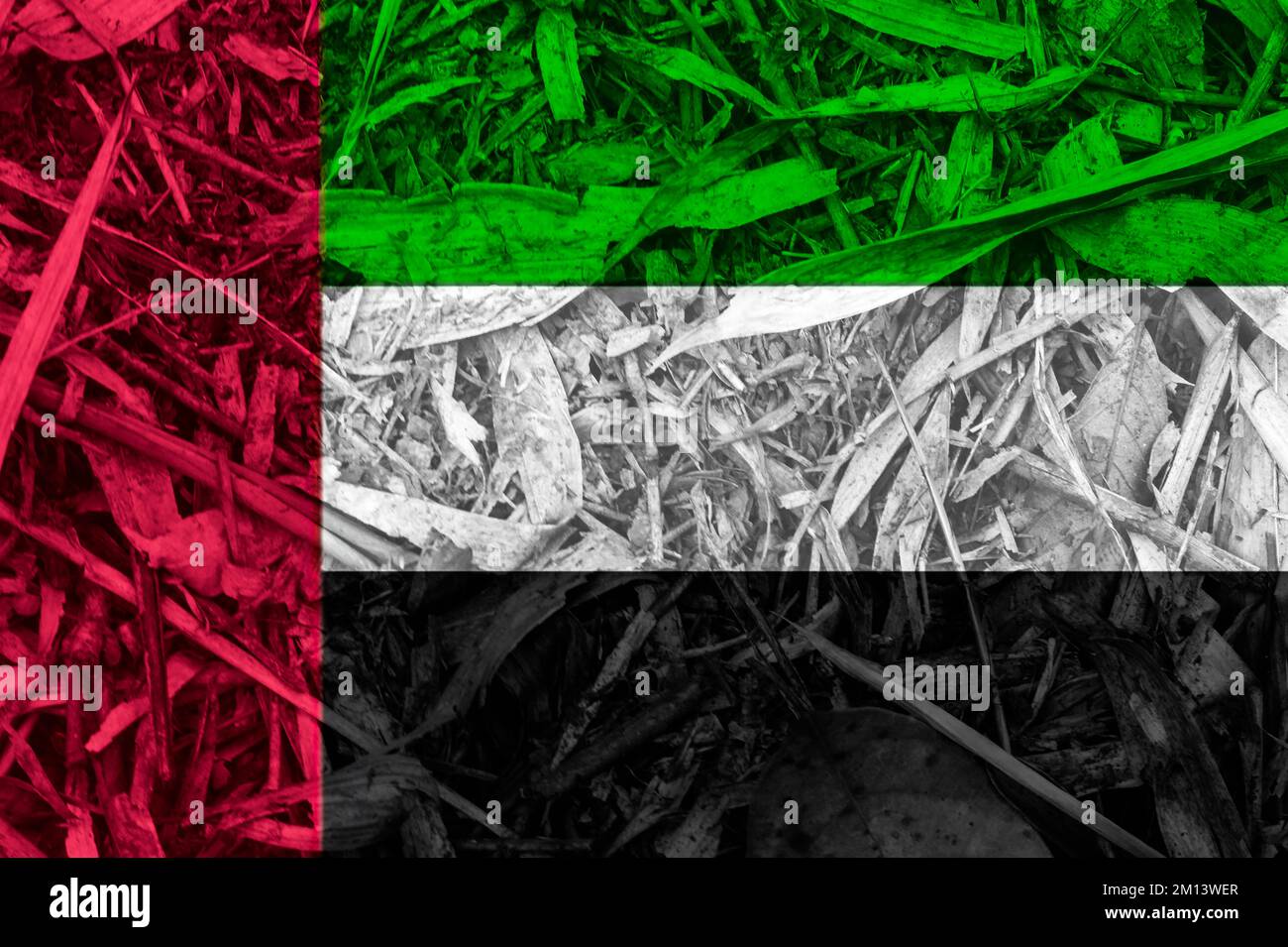 united arab emirates flag texture as background Stock Photo - Alamy
