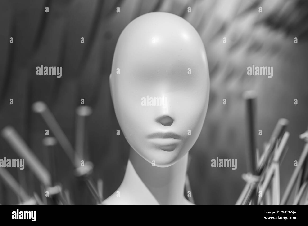 The University Museum, The University of Tokyo Stock Photo - Alamy