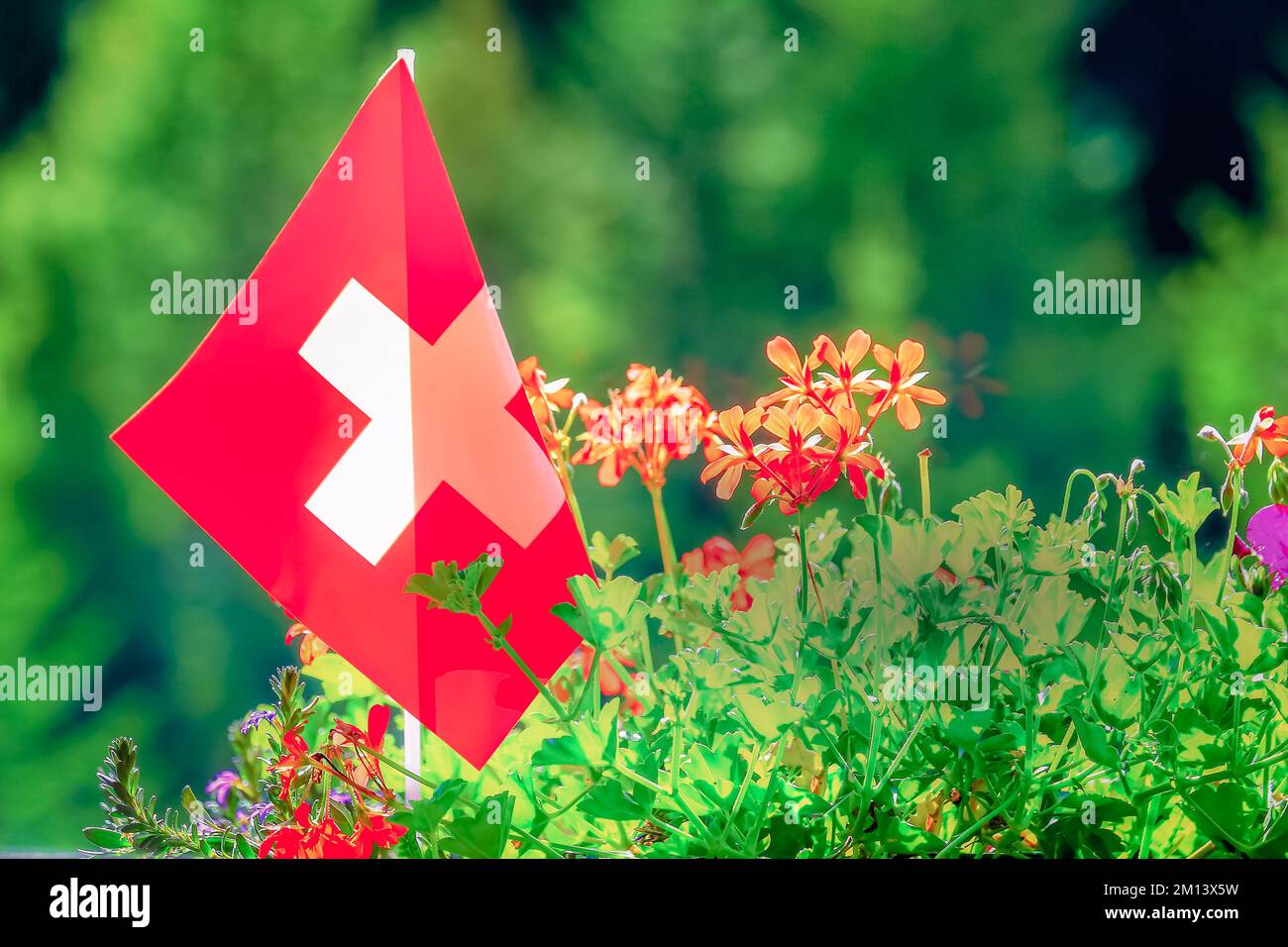 Flowers in rustic balcony at springtime with Swiss flag, Interlaken, Switzerland Stock Photo - Alamy