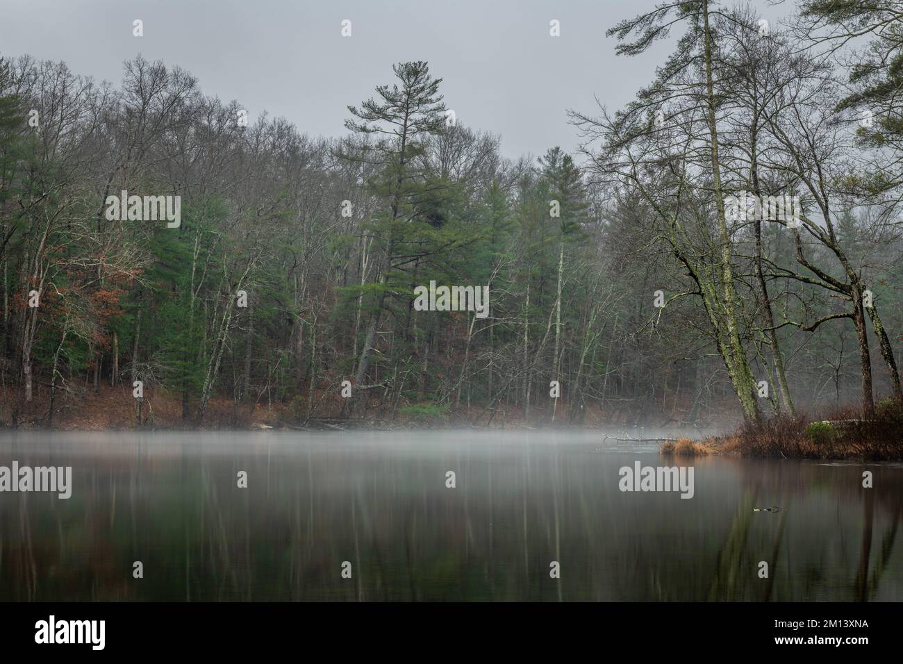 Fog forms over a section of Byrd Creek in Cumberland State Park ...