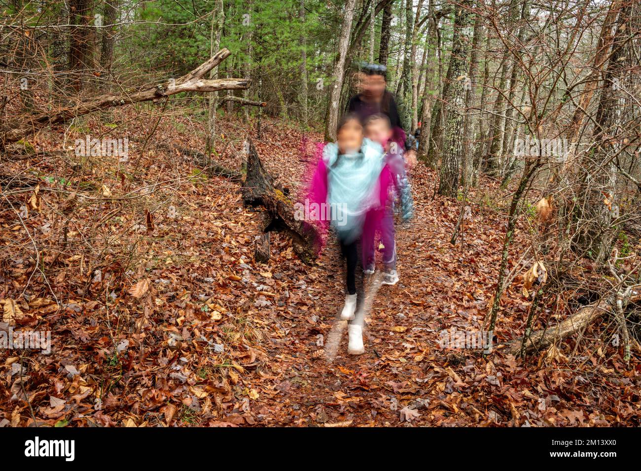 A family walks together on a fall foliage hiking trail in the ...