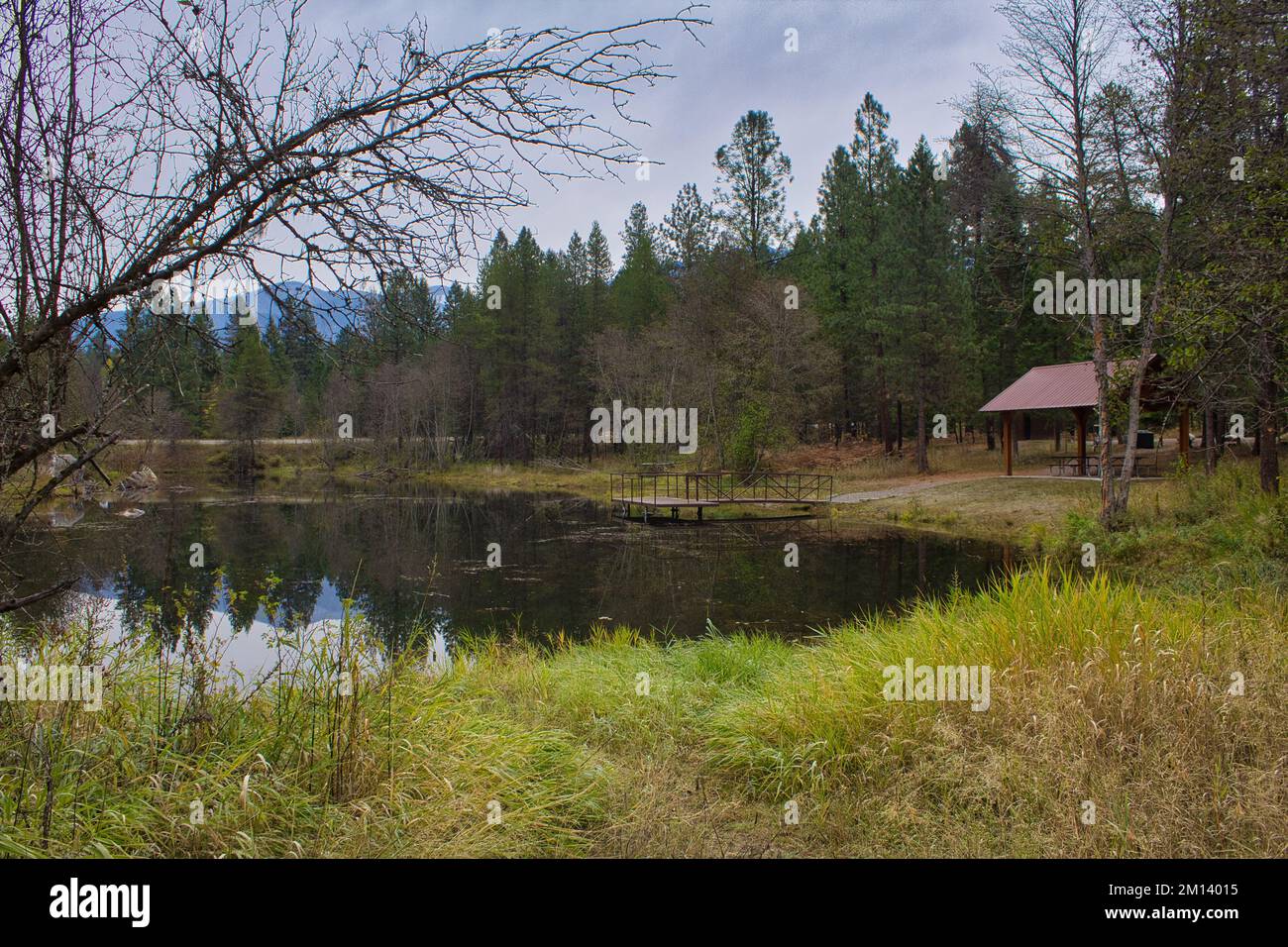 Fishing pond at Thompson Falls State Park Stock Photo - Alamy