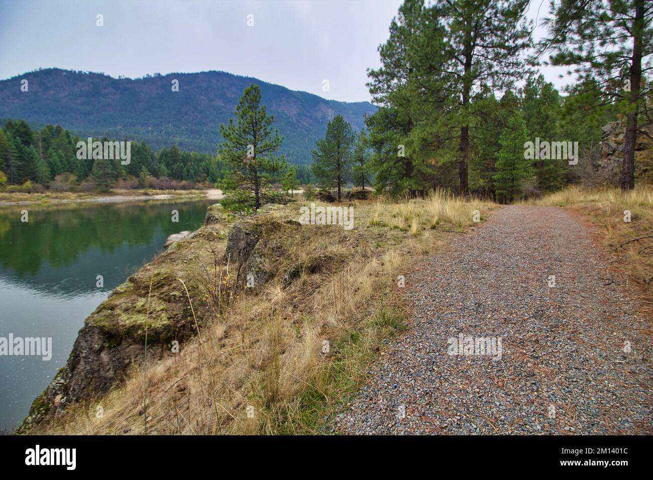 Trail alongside the Clark Fork River at Thompson Falls State Park Stock ...