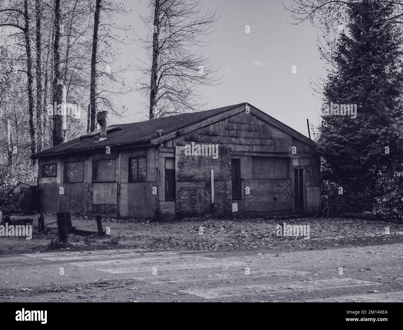 A grayscale of a wooden abandoned ranch in the forest area Stock Photo ...