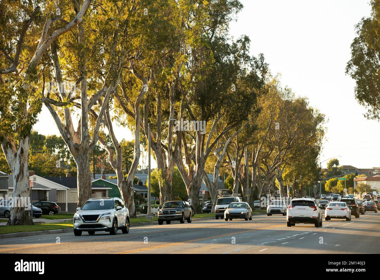 Torrance california street hi-res stock photography and images - Alamy