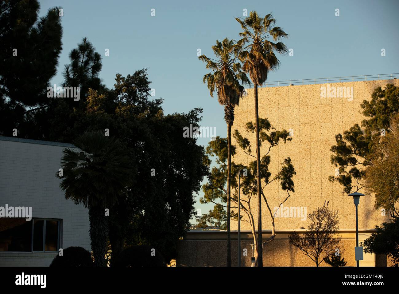 Palm framed view of the downtown skyline of Torrance, California, USA ...