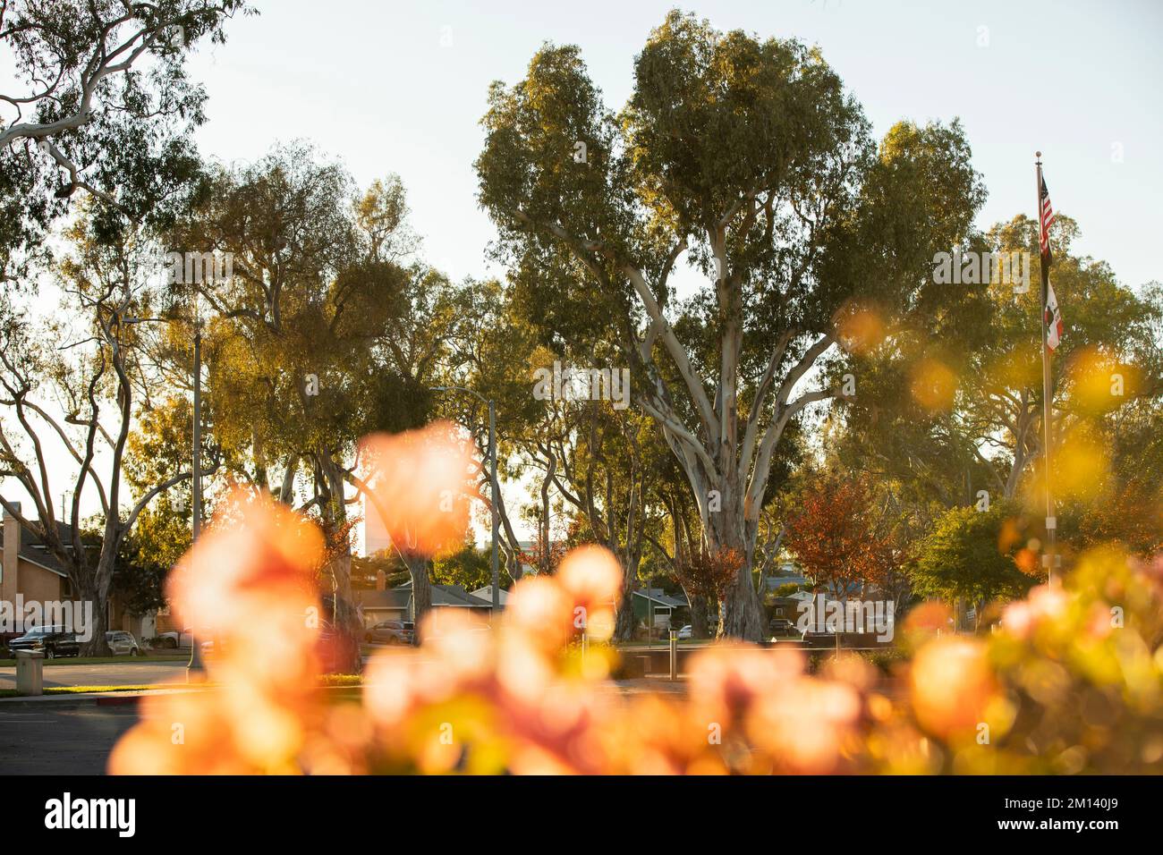 Torrance california street hi-res stock photography and images - Alamy
