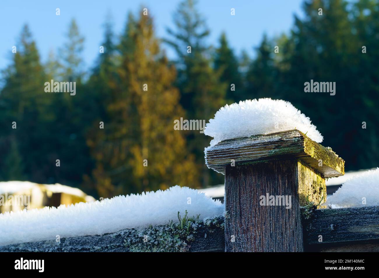 Frosty snow on wooden fence post with background trees Stock Photo - Alamy
