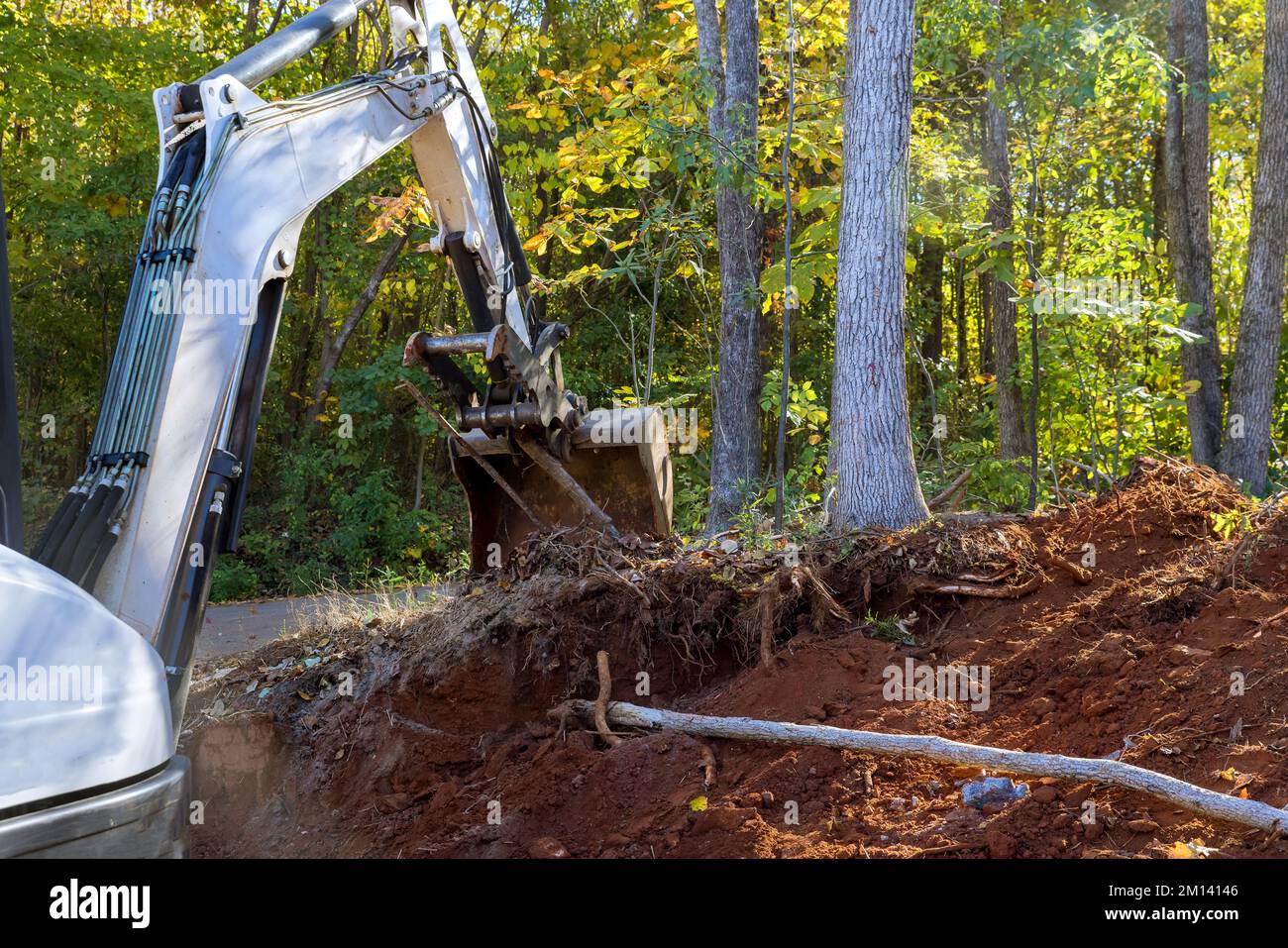 Bulldozer clearing trees hi-res stock photography and images - Alamy