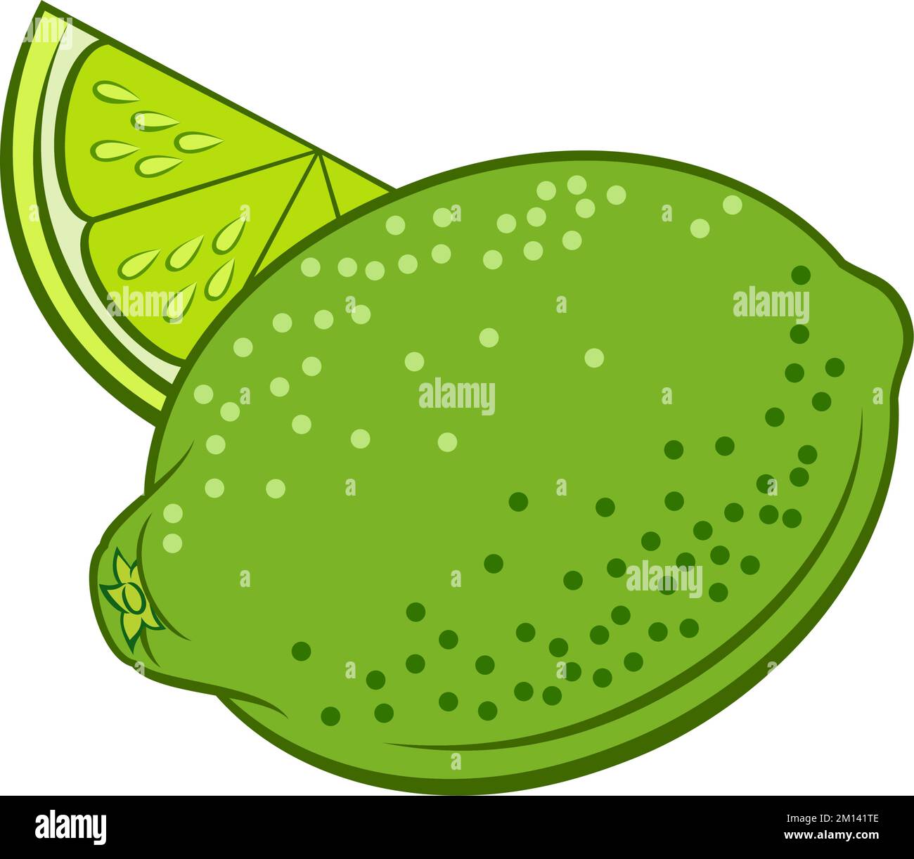 Illustration of Juicy Stylized Whole and Slice Lime. Icon for Food Apps ...