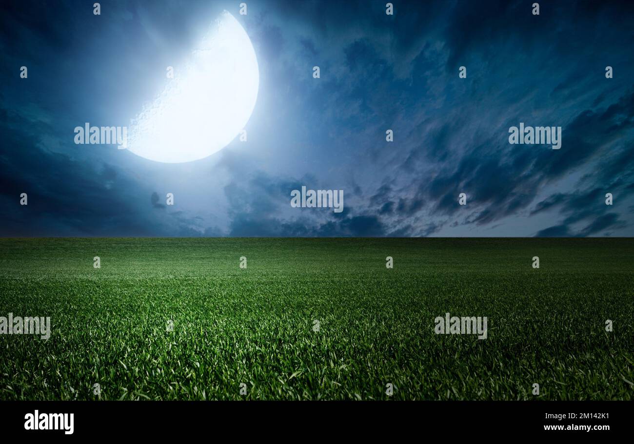 Grass full moon hi-res stock photography and images - Alamy