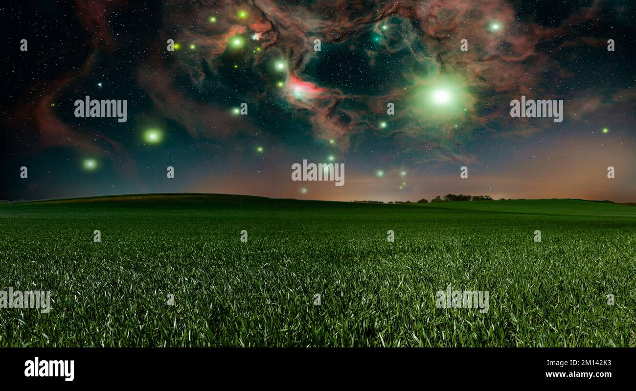 Night sky over field Stock Photo - Alamy
