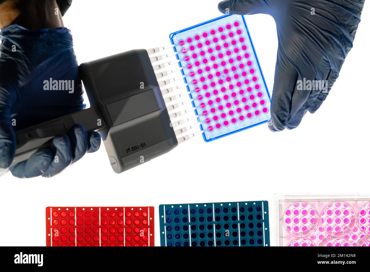 Researcher biological test laboratory hi-res stock photography and ...