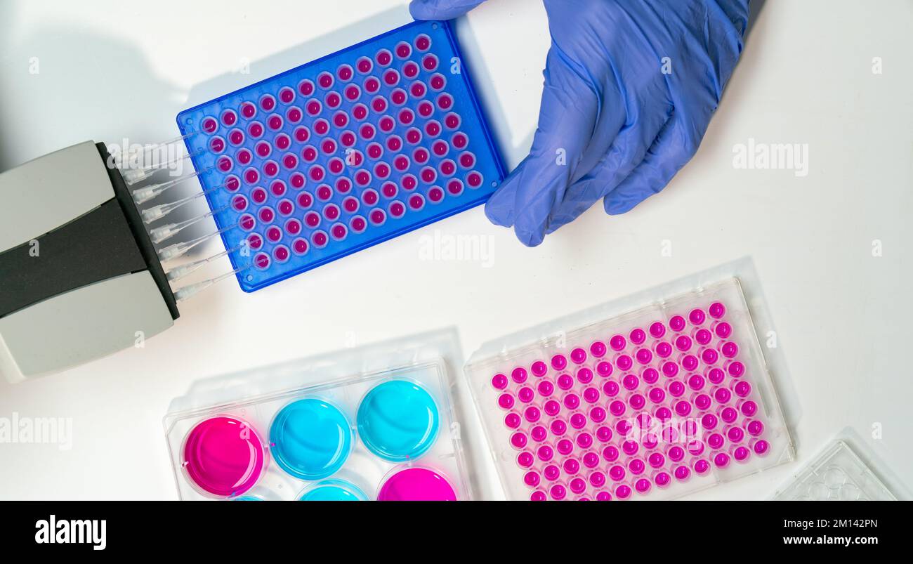 96 well plate multichannel pipette hi-res stock photography and images ...