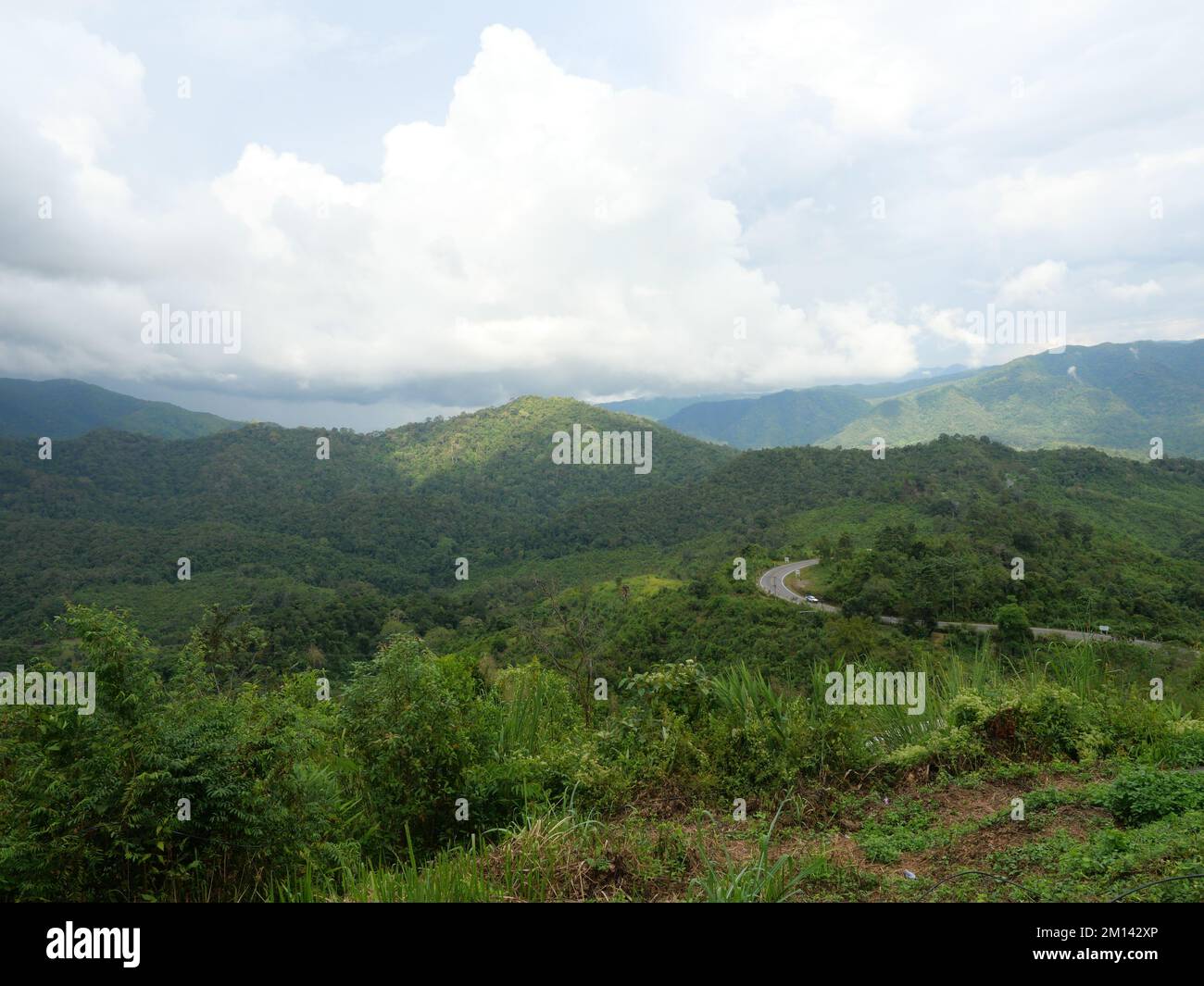 Aerial view of Mountain and tropical forest full of green tree, Curve ...