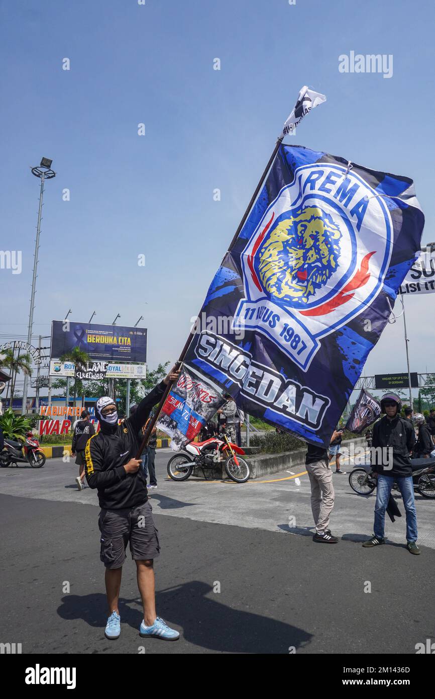 A demonstrator carries a flag with the Crazy Lion logo of the soccer ...