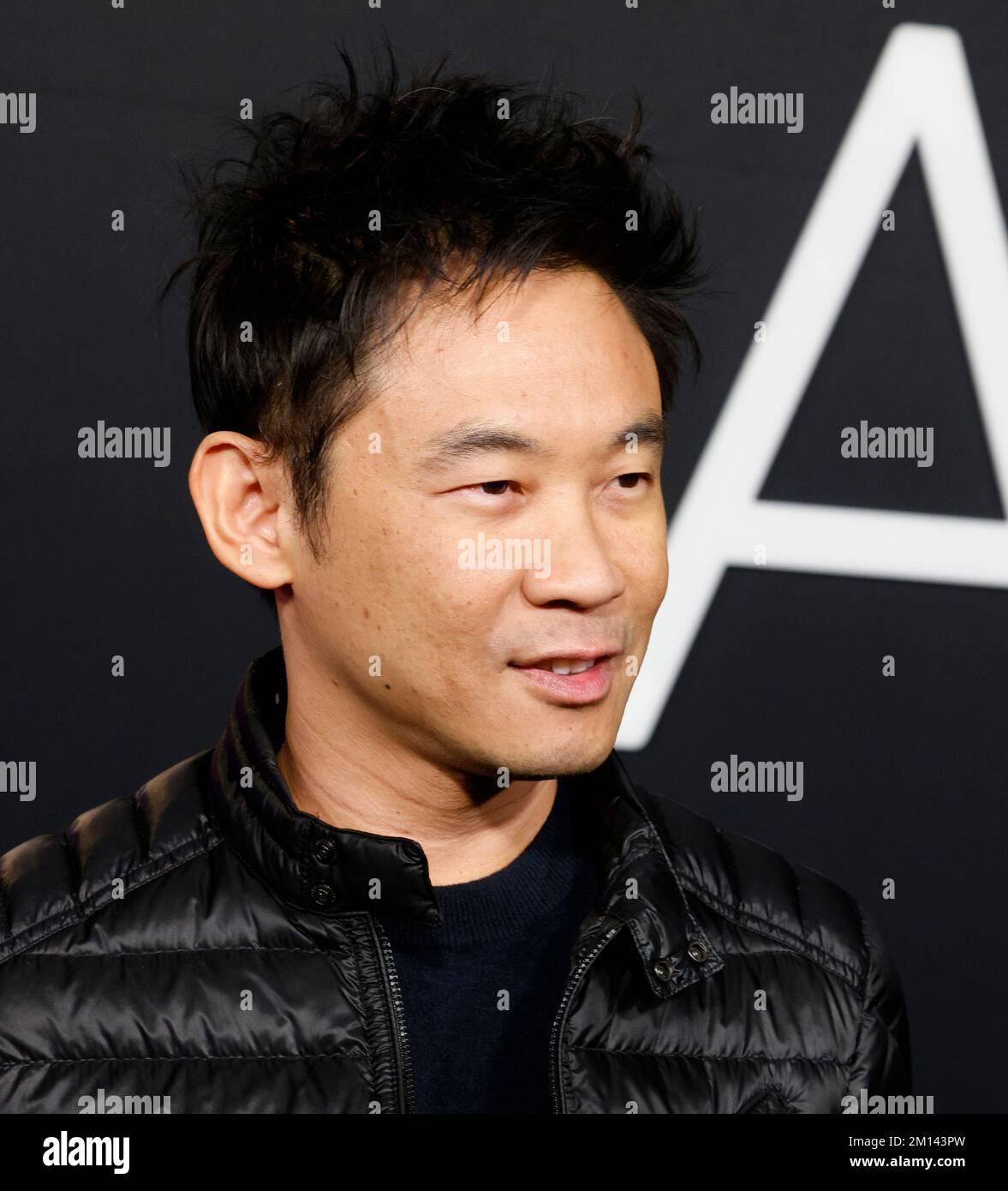 Los Angeles, CA, - Dec 07, 2022: James Wan arrives at the movie ...